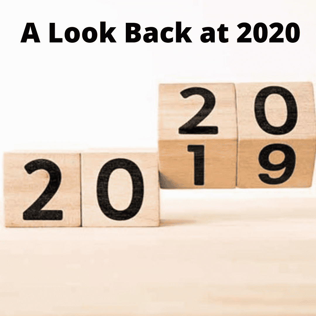 A Look Back at 2020 - DAVIS